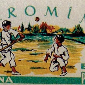 Regulile jocului – Oina Romania